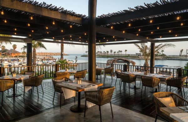 Hotel El Ganzo - Are you looking for the best transportation service in ...