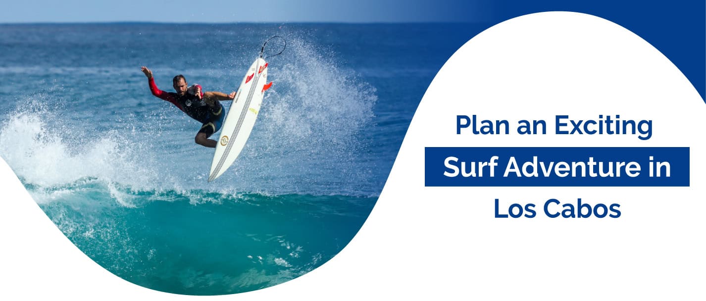 Plan Your Surf Trip to Los Cabos: Waves, Sun, and Luxury Transfers ...